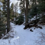 Columbine Trail, Colorado - 1,896 Reviews, Map | AllTrails