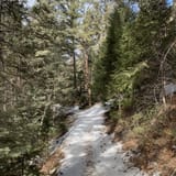 Columbine Trail, Colorado - 1,896 Reviews, Map | AllTrails