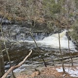 Hackers Falls and Cliff Trail Loop, Pennsylvania - 1,757 Reviews, Map ...
