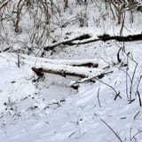 Red Gate Woods Loop, Illinois - 399 Reviews, Map | AllTrails