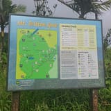 Mount Britton Tower Trail, East Region, Puerto Rico - 1,742 Reviews ...