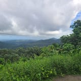 Mount Britton Tower Trail, East Region, Puerto Rico - 1,742 Reviews ...