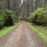 Riverhead Forest Loop Track, Auckland, New Zealand - 122 Reviews, Map ...