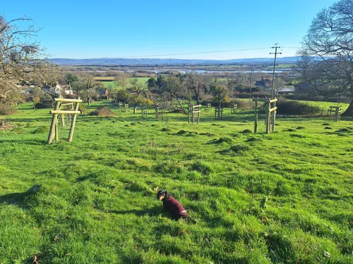 Best Hikes and Trails in Coombe Hill Nature Reserve | AllTrails