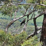 Mount Maroon and Caves Loop, Queensland, Australia - 258 Reviews, Map ...