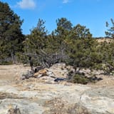 Ute Valley Park Loop Trail, Colorado - 2,552 Reviews, Map | AllTrails