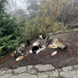 Merced Bike Path, California - 142 Reviews, Map | AllTrails