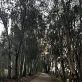 Merced Bike Path, California - 142 Reviews, Map | AllTrails