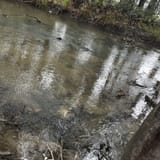 Merced Bike Path, California - 179 Reviews, Map | AllTrails