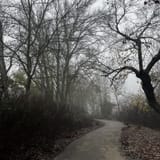 Merced Bike Path, California - 179 Reviews, Map | AllTrails