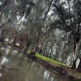 Merced Bike Path, California - 179 Reviews, Map | AllTrails