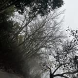 Merced Bike Path, California - 142 Reviews, Map | AllTrails