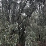 Merced Bike Path, California - 179 Reviews, Map | AllTrails