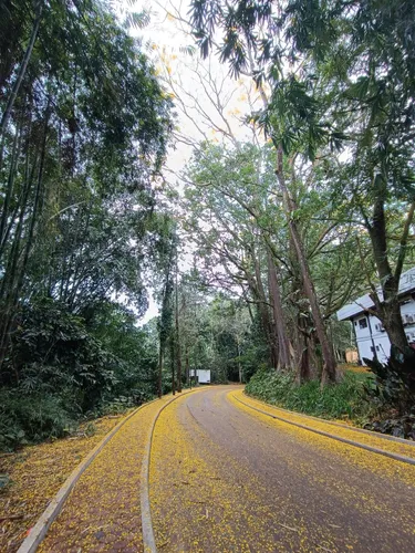 10 Best Trails and Hikes in Bukidnon | AllTrails