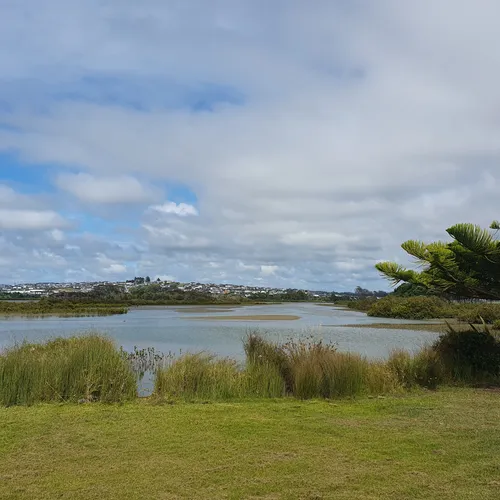 Best Walking Trails in Orewa | AllTrails