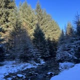 Snake Woodland and Snake Path Circular, Derbyshire, England - 223 ...