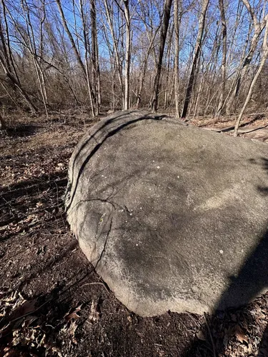 Best Hikes and Trails in Powhite Park | AllTrails