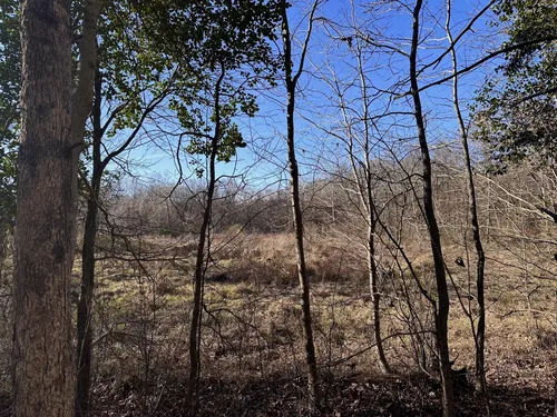 Best Hikes and Trails in Powhite Park | AllTrails