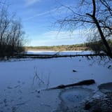 Old Pale Hill and Delamere Forest, Cheshire, England - 881 Reviews, Map ...