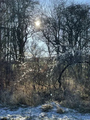 Best Hikes and Trails in Harold-Odell Country Park | AllTrails