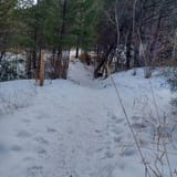 Eagle's View Trail Loop, Colorado - 2,924 Reviews, Map | AllTrails