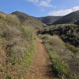 Ray Miller Backbone Trail, California - 1,939 Reviews, Map | AllTrails