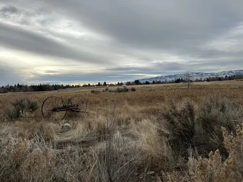 Best Hikes and Trails in Rancho San Rafael Regional Park | AllTrails