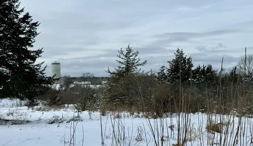 Best Hikes and Trails in Wheeler Nature Park | AllTrails