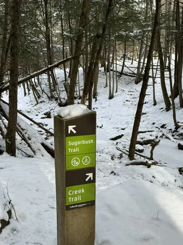 Best Hikes and Trails in Wheeler Nature Park | AllTrails