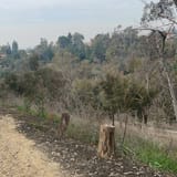 Murphy Ranch Trail , California - 1,397 Reviews, Map | AllTrails