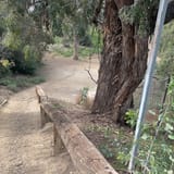 Murphy Ranch Trail , California - 1,397 Reviews, Map | AllTrails