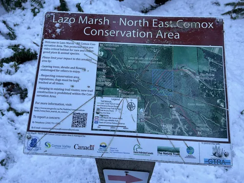 Best Hikes and Trails in Lazo Marsh-North East Comox Wildlife ...