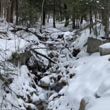 Prospect Rock Trail, Vermont - 866 Reviews, Map | AllTrails