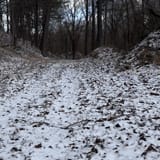 Pyramid State Park Loop Trail, Illinois - 235 Reviews, Map | AllTrails