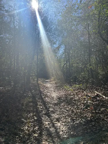 Best Hikes and Trails in Comite River Park | AllTrails