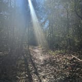 Comite Park Loop, Louisiana - 900 Reviews, Map | AllTrails