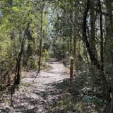 Comite Park Loop, Louisiana - 900 Reviews, Map | AllTrails