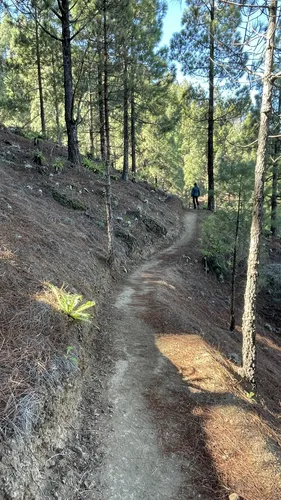 Best Hikes and Trails in Hoya del Gamonal | AllTrails