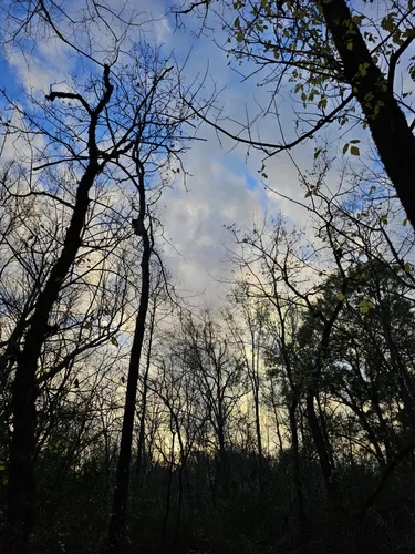 Best Hikes and Trails in Comite River Park | AllTrails