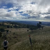 Bell Rock Loop Track, Hawke's Bay, New Zealand - 99 Reviews, Map ...