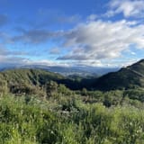 Bell Rock Loop Track, Hawke's Bay, New Zealand - 99 Reviews, Map ...