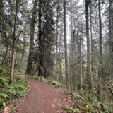 Puyallup Loop Trail, Washington - 1,140 Reviews, Map | AllTrails