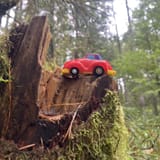 Banner Forest Heritage Park Loop, Washington - 1,401 Reviews, Map ...