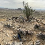 Dixie Mountain Loop Trail, Arizona - 3,104 Reviews, Map | AllTrails