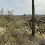 Dixie Mountain Loop Trail, Arizona - 3,104 Reviews, Map | AllTrails