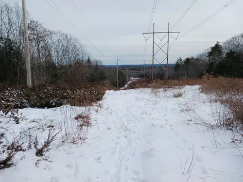 Best Horseback Riding Trails in Knight's Pond and Blueberry Hill ...