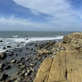 Point Loma Tidepools and Coastal Trail, California - 722 Reviews, Map ...