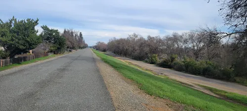 Best Hikes and Trails in William Pond Recreation Area | AllTrails