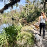 Econlockhatchee River Trail, Florida - 437 Reviews, Map | AllTrails