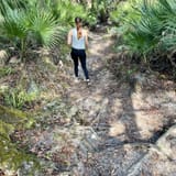 Econlockhatchee River Trail, Florida - 434 Reviews, Map | AllTrails